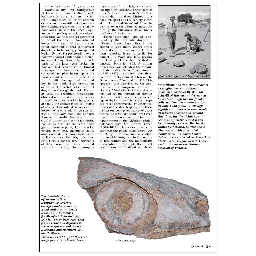 An Ichthyosaur in the paddock – Australian Age of Dinosaurs Museum Shop