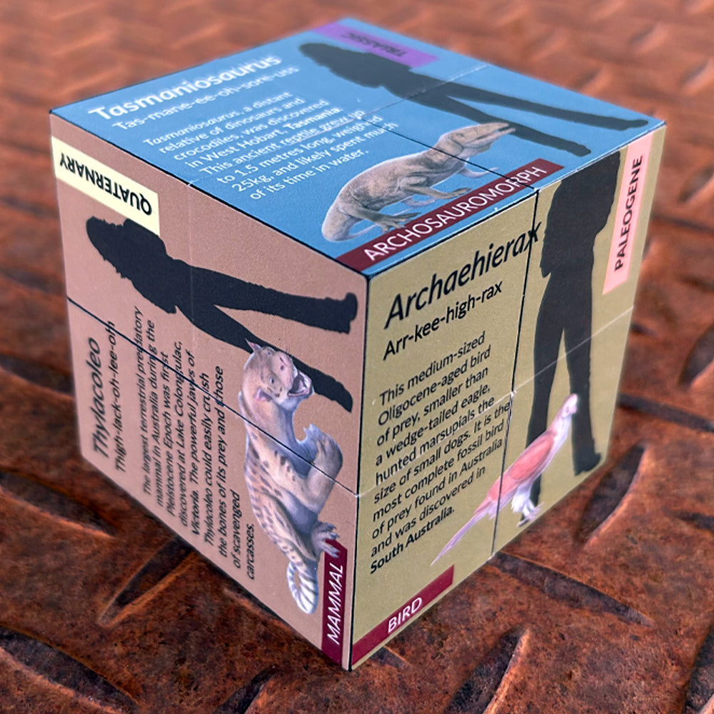 Australian natural history foldable cube – Australian Age of Dinosaurs ...