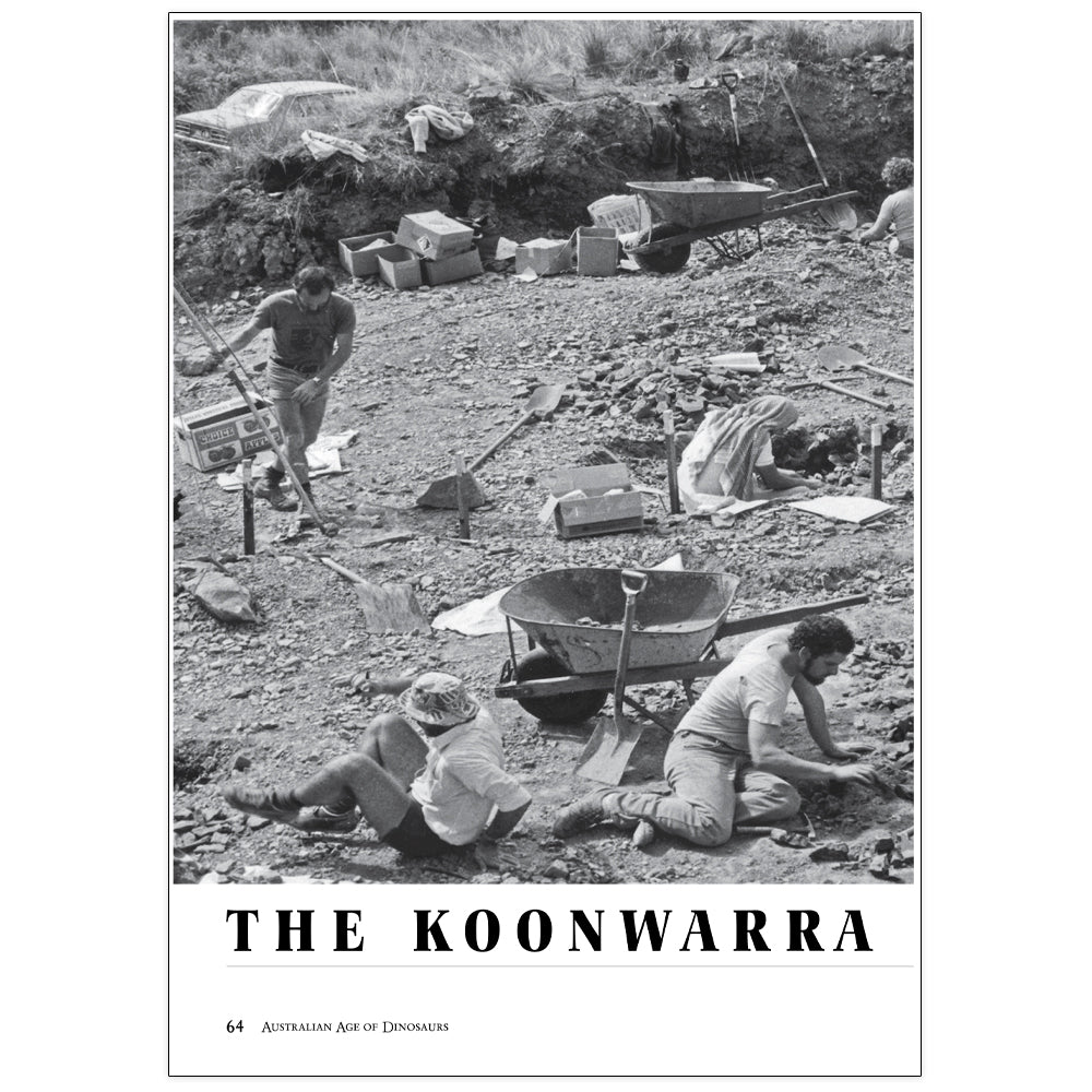 The Koonwarra Fossil Bed: Ferns, flowers, fleas and fish... and feathe ...