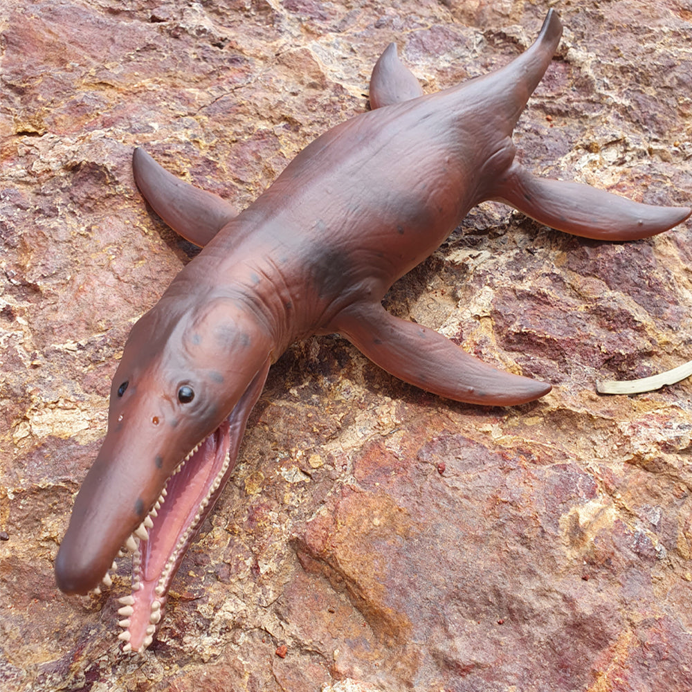 "Kronosaurus" – Australian Age of Dinosaurs Museum Shop