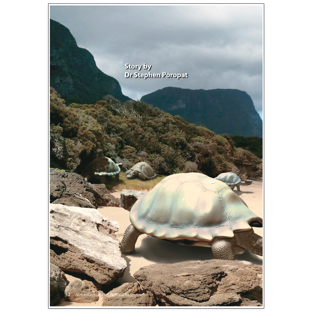 Meet the Meiolaniids: The original ninja turtles – Australian Age of ...