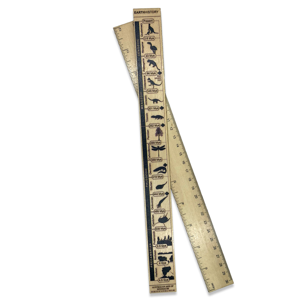 Australian history ruler – Australian Age of Dinosaurs Museum Shop
