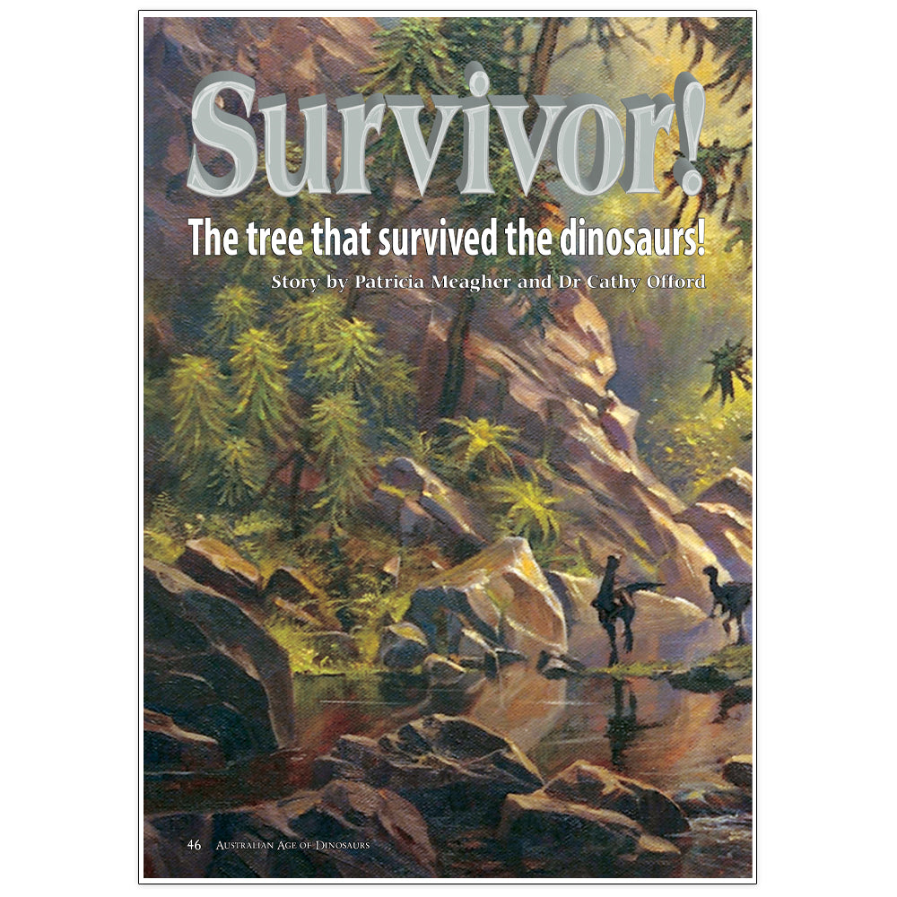 Survivor! The tree that survived the dinosaurs! – Australian Age of Dinosaurs Museum Shop