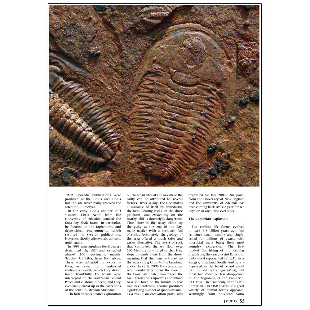 The Early Cambrian on Kangaroo Island – Australian Age of Dinosaurs ...