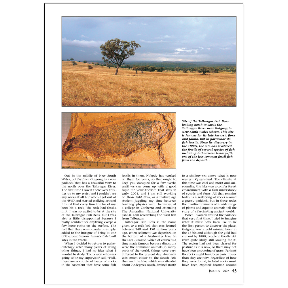 The Talbragar Fish Beds: Uncovered! – Australian Age of Dinosaurs ...