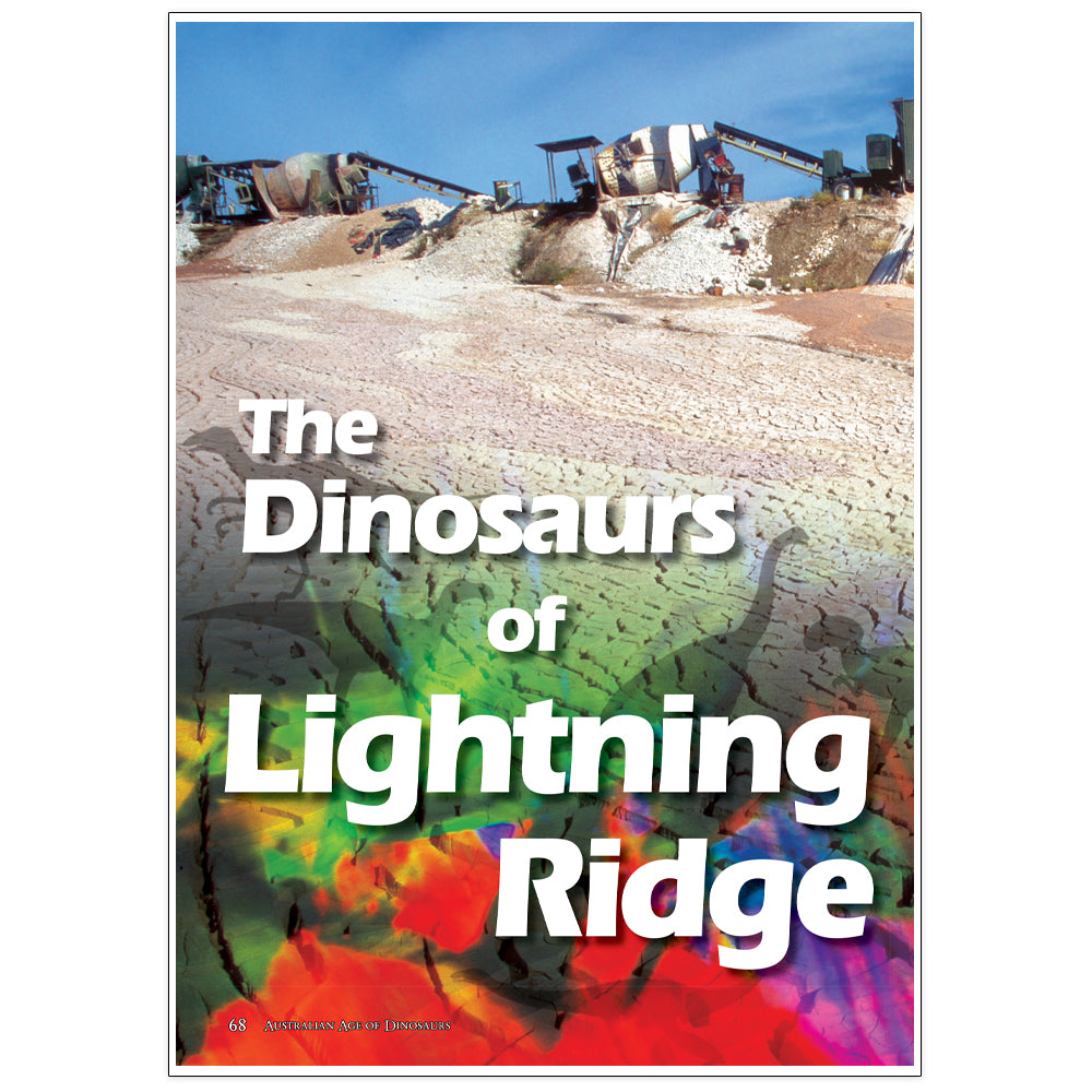 The dinosaurs of Lightning Ridge – Australian Age of Dinosaurs Museum Shop