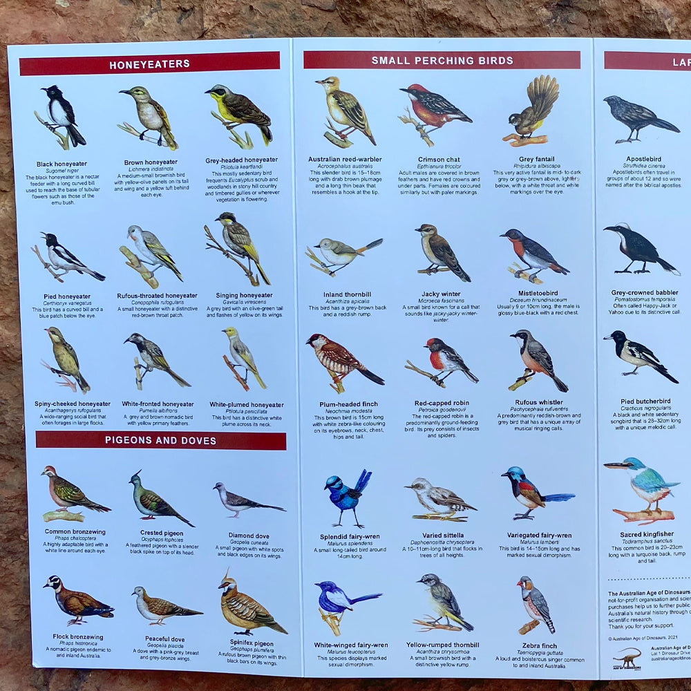 Winton Birds: A folding pocket guide – Australian Age of Dinosaurs ...