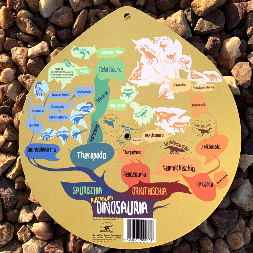 Australian Dinosaur wheel chart – Australian Age of Dinosaurs Museum Shop
