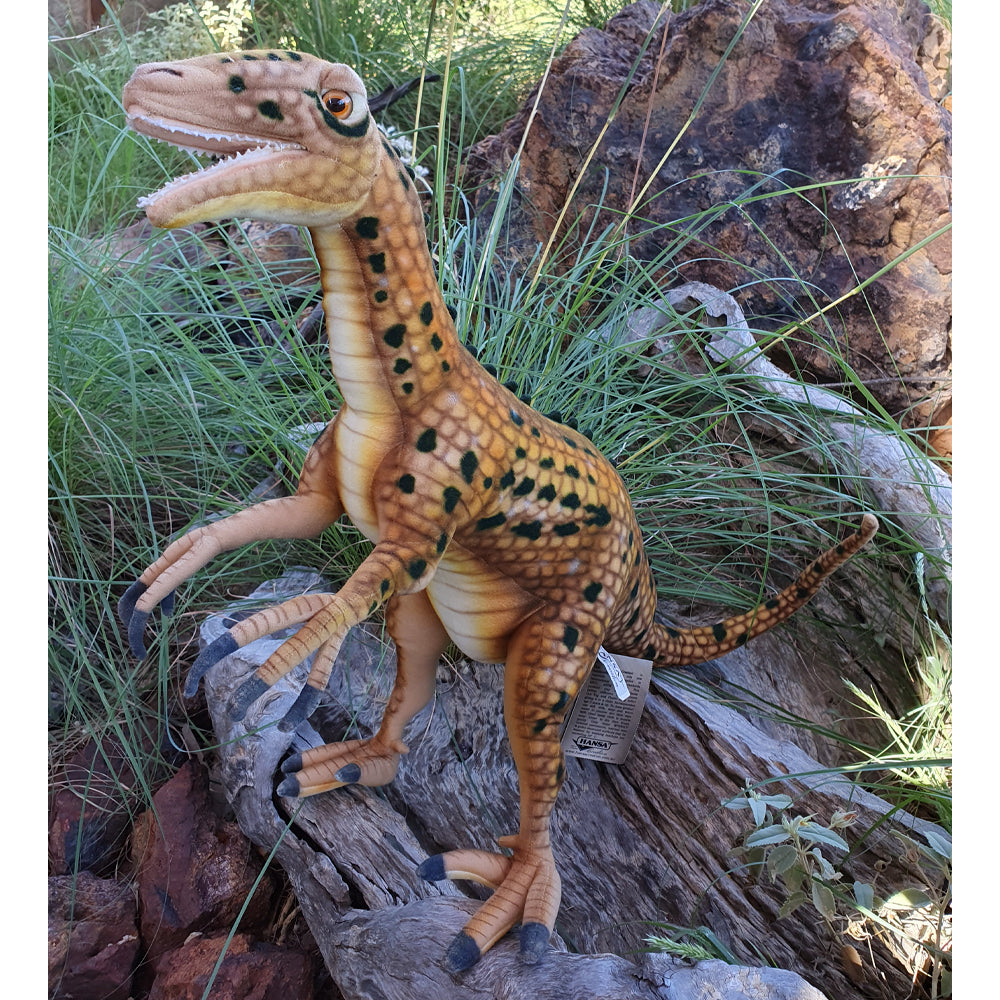 "Australovenator wintonensis" plush – Australian Age of Dinosaurs ...
