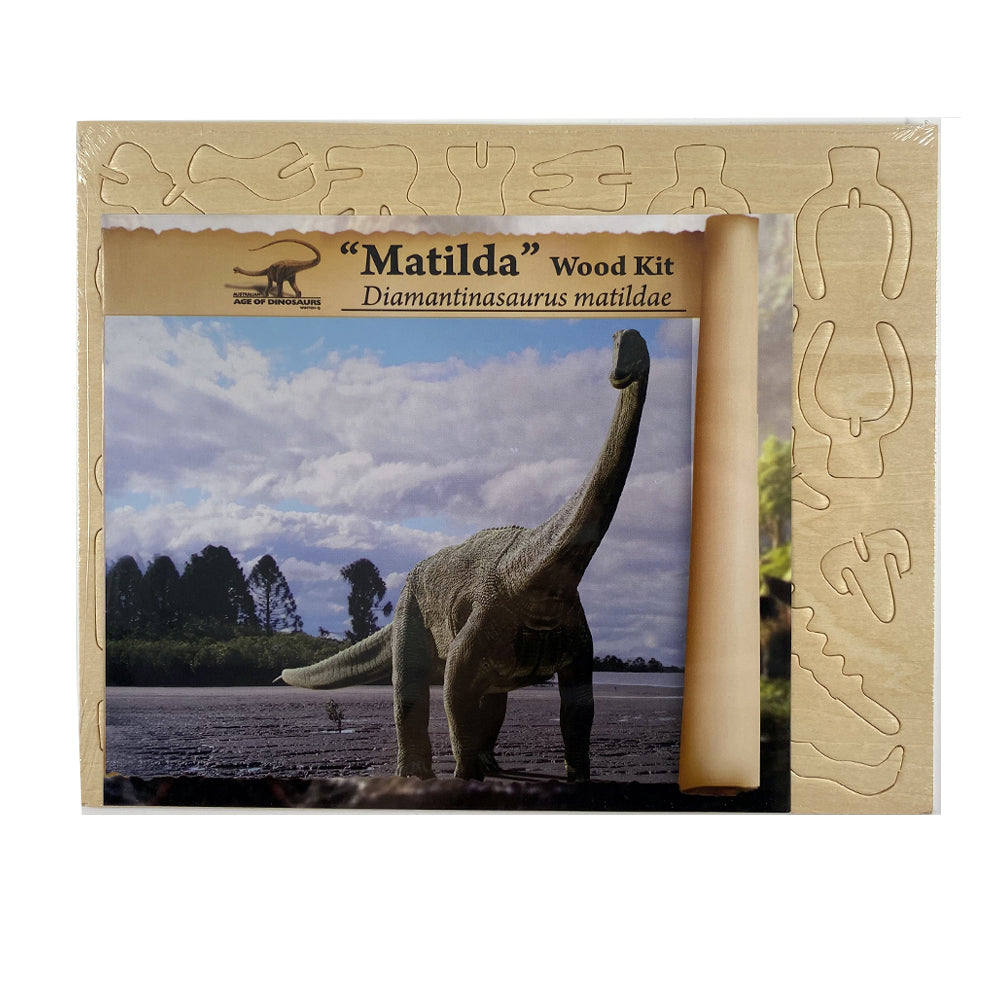 Matilda Wood Kit – Australian Age of Dinosaurs Museum Shop