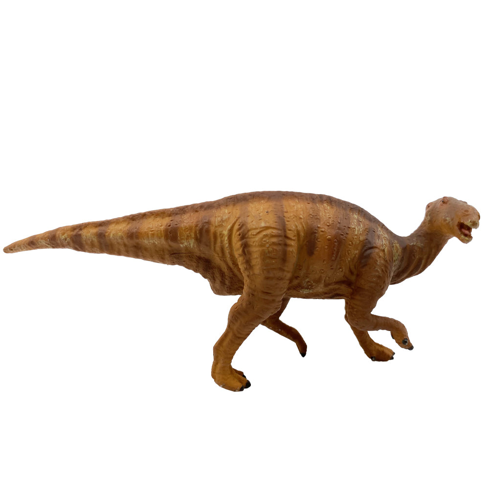 Muttaburrasaurus Were Herbivorous Dinosaurs