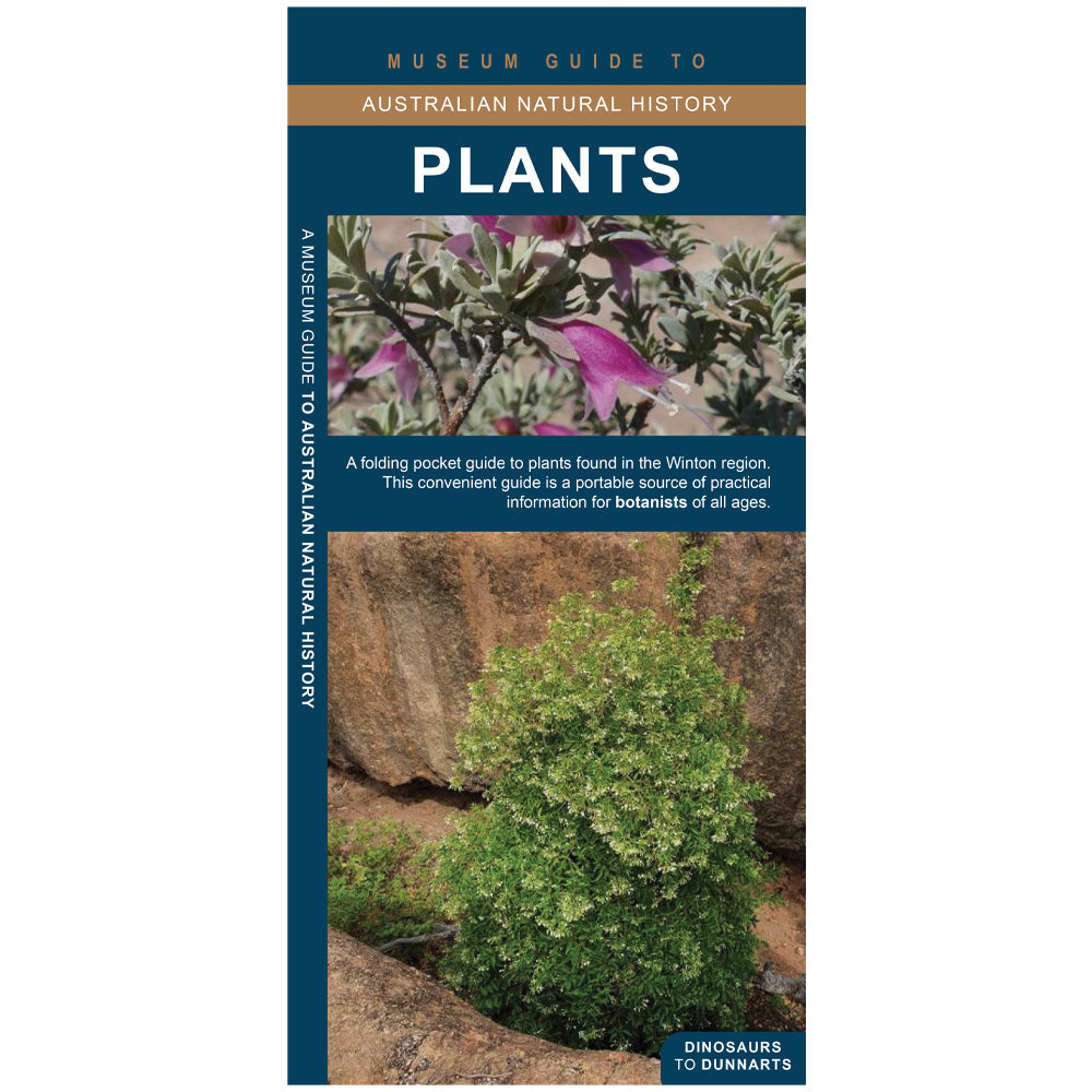 Plants: A folding pocket guide – Australian Age of Dinosaurs Museum Shop